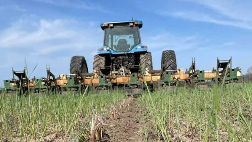 Challenges Facing Farmers: Insights from John Layton - Albemarle Observer